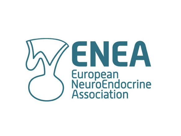 New ENEA logo